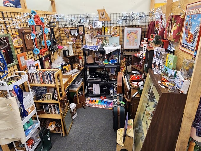 A treasure trove of nostalgia and novelty where collectibles, books, and knick-knacks create a time-travel experience through American pop culture.