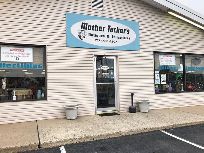Mother Tucker's isn't just an antique store—it's a time machine where every treasure has a story waiting to be continued in your home.