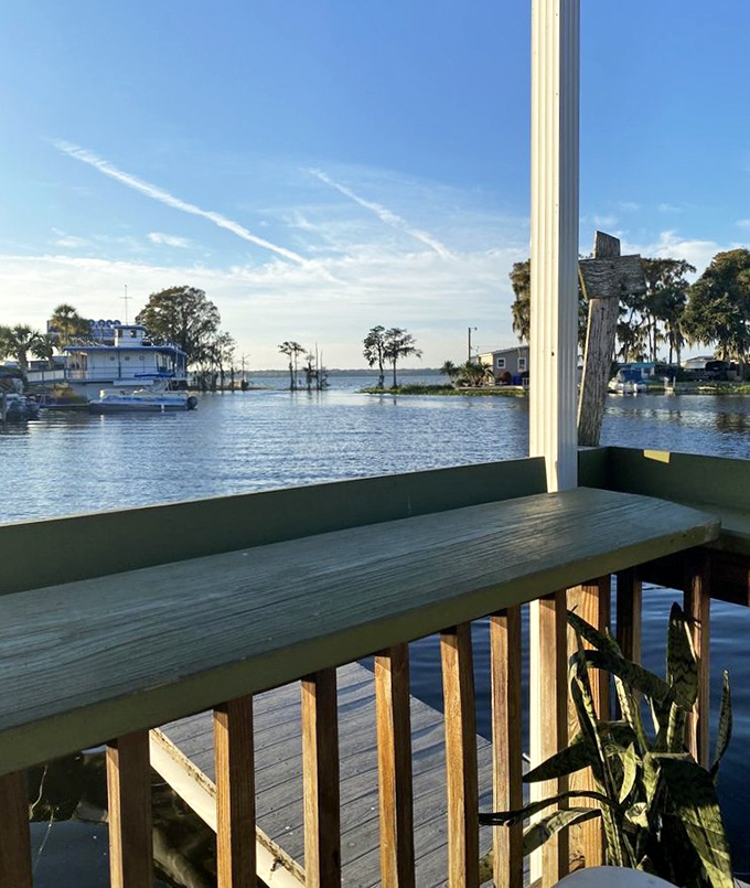 That view though! Lake Eustis stretches out like nature's dinner theater, with cypress trees and blue skies providing the perfect backdrop for seafood feasting.