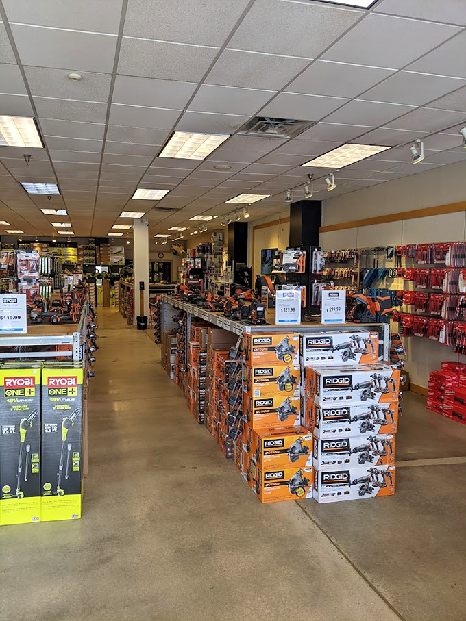 Tools and hardware displayed with military precision remind us that home improvement projects can start with improving your budget first.