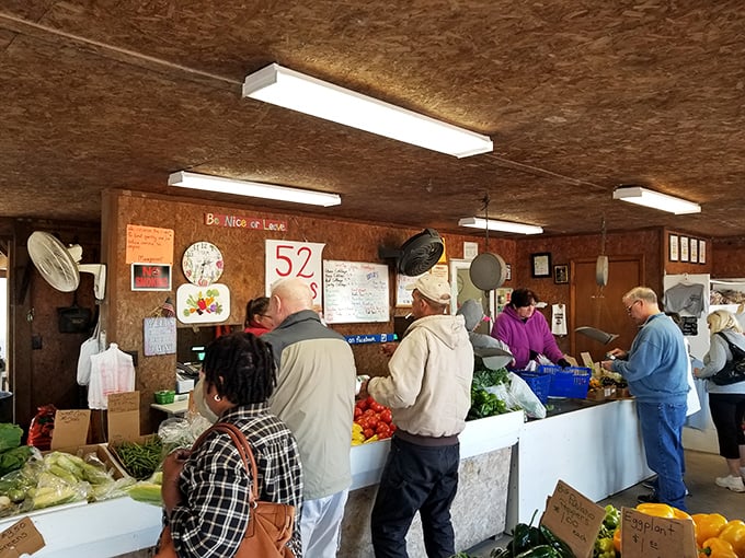 The Palatka State Farmer's Market offers produce so fresh you'd think vegetables were competing for blue ribbons in a beauty pageant.