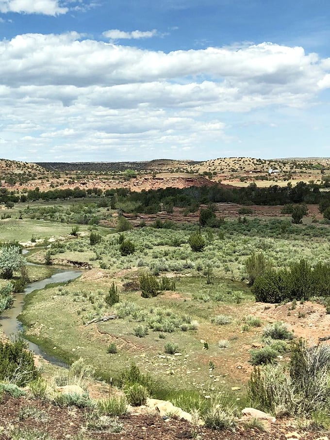The landscape unfolds like nature's patchwork quilt, with meandering streams stitching together desert and grassland.