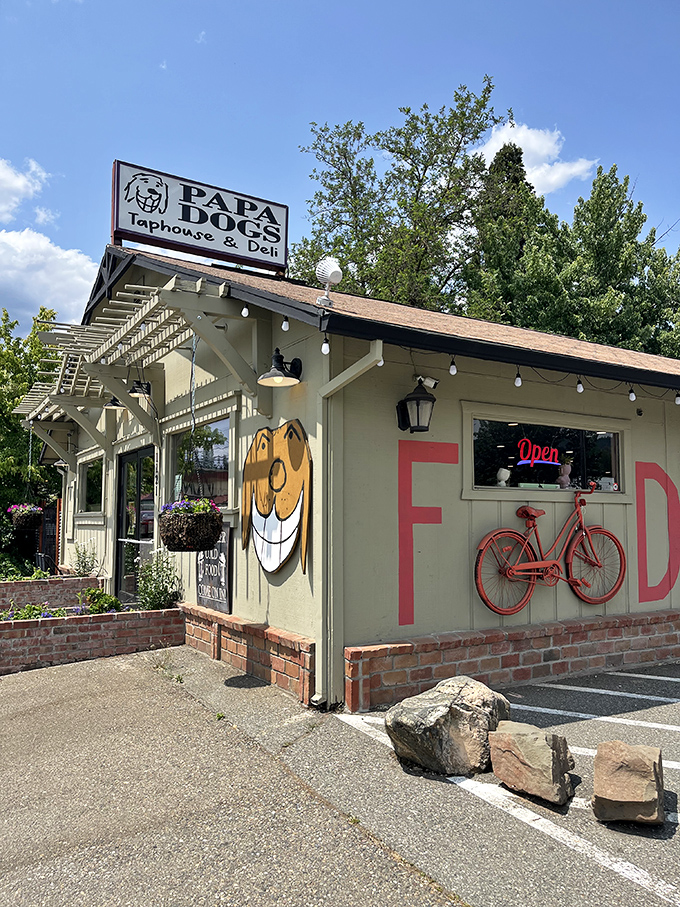 Papa Dogs' smiling canine logo promises the kind of laid-back hospitality that makes you want to become a regular after just one visit.