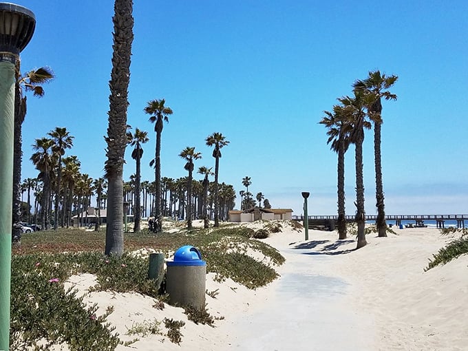 Palm trees line the beach path like nature's own welcoming committee. The sandy trail invites bare feet and unhurried exploration of Port Hueneme's shoreline treasures.