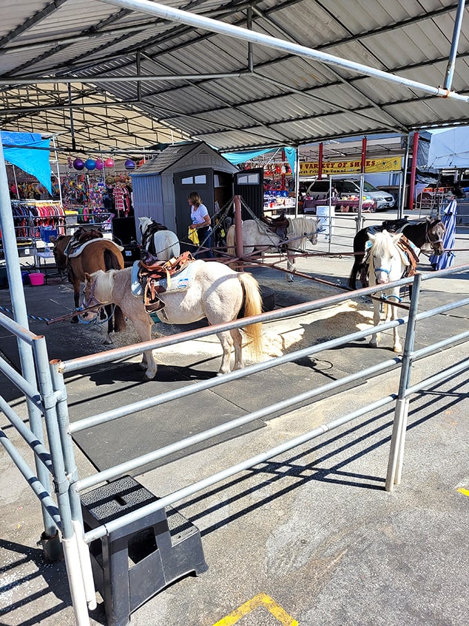 Pony rides bring childhood joy to the shopping experience. These gentle steeds provide a welcome break from bargain hunting for the youngest market-goers.