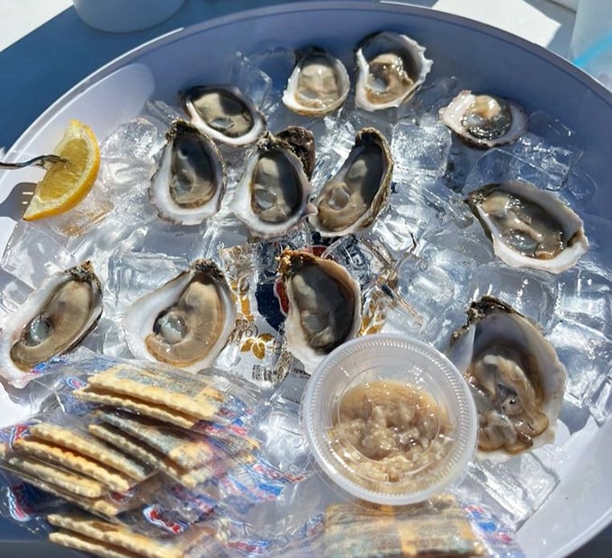 Apalachicola oysters on ice—briny treasures that taste like the ocean decided to send its regards personally.