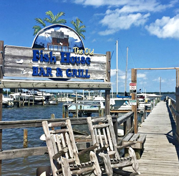 Those rocking chairs on the dock aren't just seating—they're front-row tickets to nature's dinner show on the Indian River Lagoon.