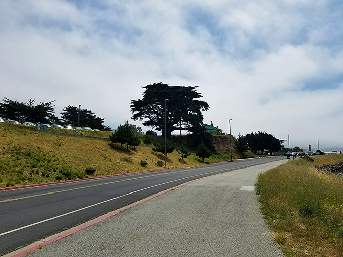The road less traveled sometimes has the best views. This coastal route promises adventures with every curve – just don't get so distracted you drive off it.