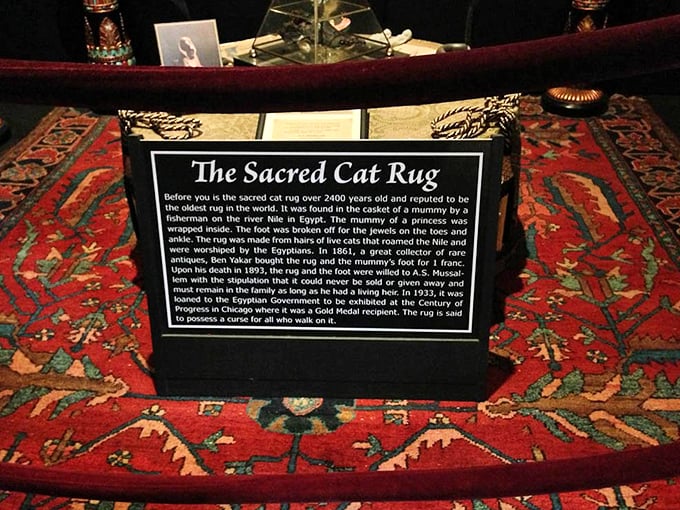 The infamous Sacred Cat Rug—2,400 years old and allegedly cursed—sits safely behind barriers, protecting both the ancient textile and superstitious visitors from each other.