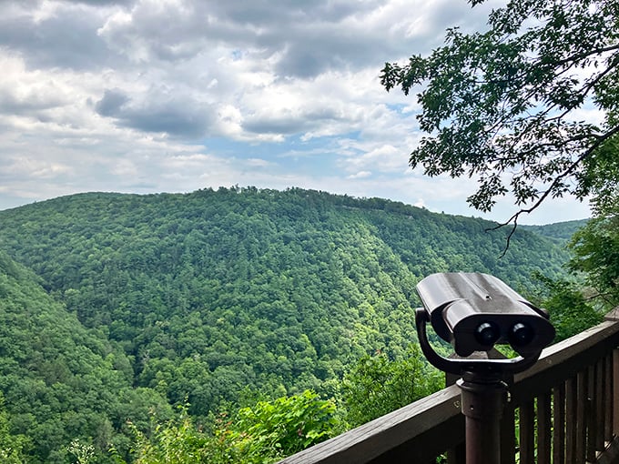 One binocular, infinite views. The perfect spot to scan for eagles soaring above Pennsylvania's answer to the Grand Canyon.