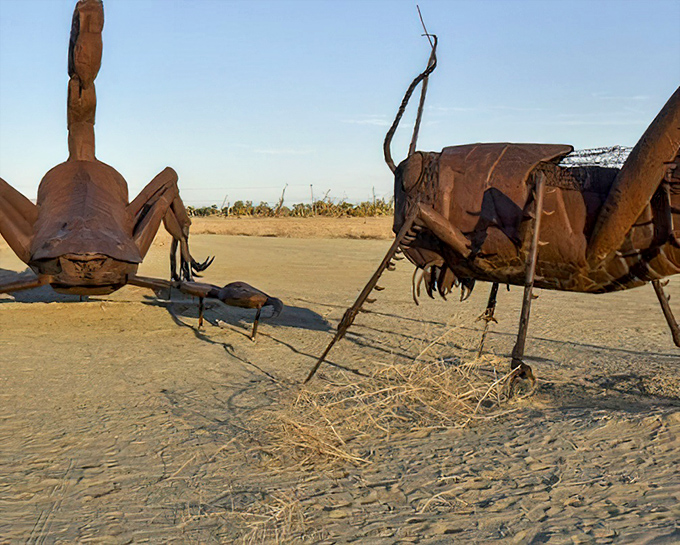Supersized insects that would make even an entomologist nervous—these metal arachnids and arthropods turn desert nightmares into daylight art.