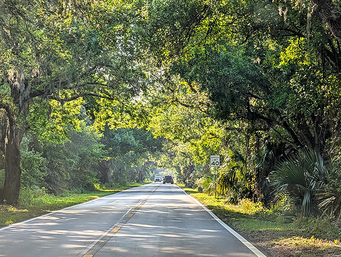 Golden hour transforms Martin Grade into a corridor of warm, honeyed light. Photographers call this magic hour for good reason.