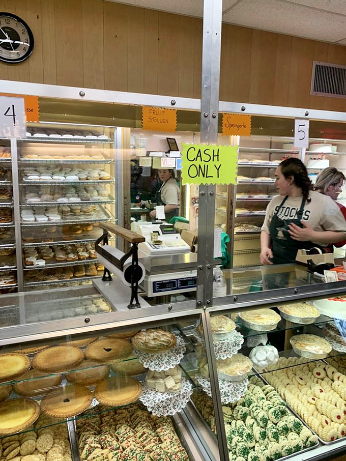 Pies, cookies, and cakes await their forever homes. The staff in Stock's shirts are the matchmakers in this sweet adoption story.