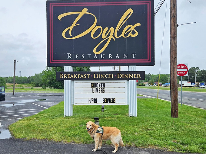 The sign says it all—chicken livers and warm servers, two specialties you don't find at those fancy city restaurants with their deconstructed whatever.