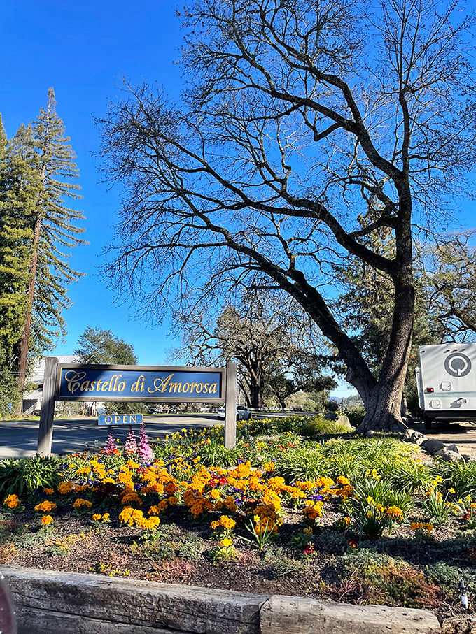 The welcoming sign among spring blooms promises an experience that's both authentically medieval and quintessentially Californian—a rare and delightful combination.