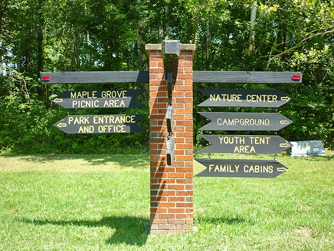 This charming signpost doesn't just point the way—it promises adventures in every direction. Choose your own outdoor story.