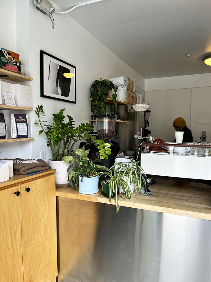 A jungle of greenery bringing life to the minimalist space. These plants aren't just decoration—they're silent partners in creating the cafe's serene atmosphere.