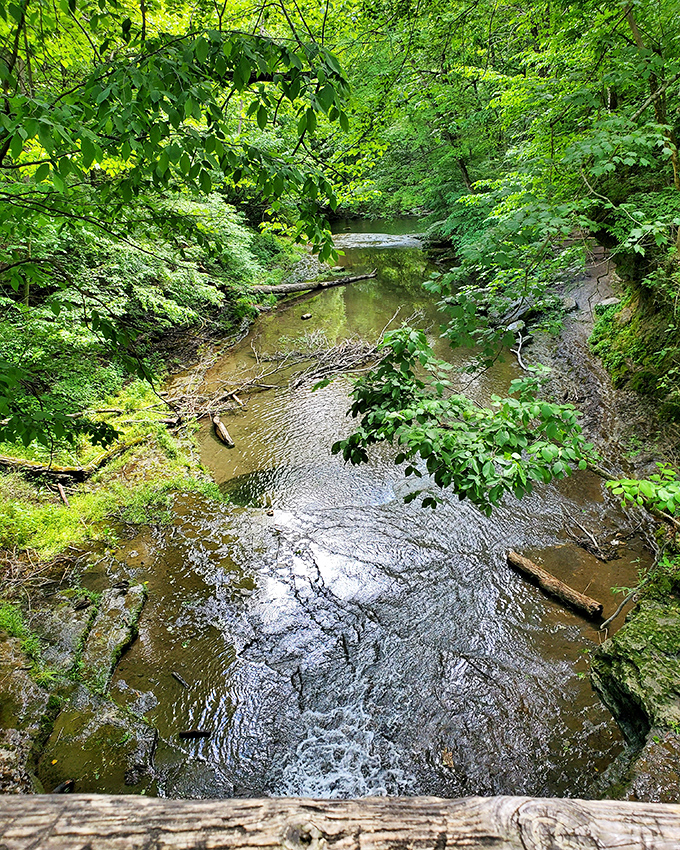The Cascades offer nature's version of meditation—where the only soundtrack is rushing water and the occasional birdsong. Serenity now!