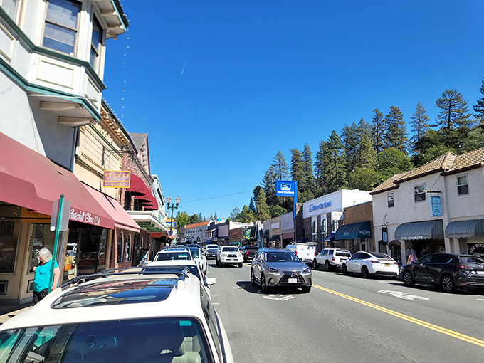 Downtown's tree-lined streets offer that perfect small-town vibe where parking is plentiful and nobody's honking—a California miracle.