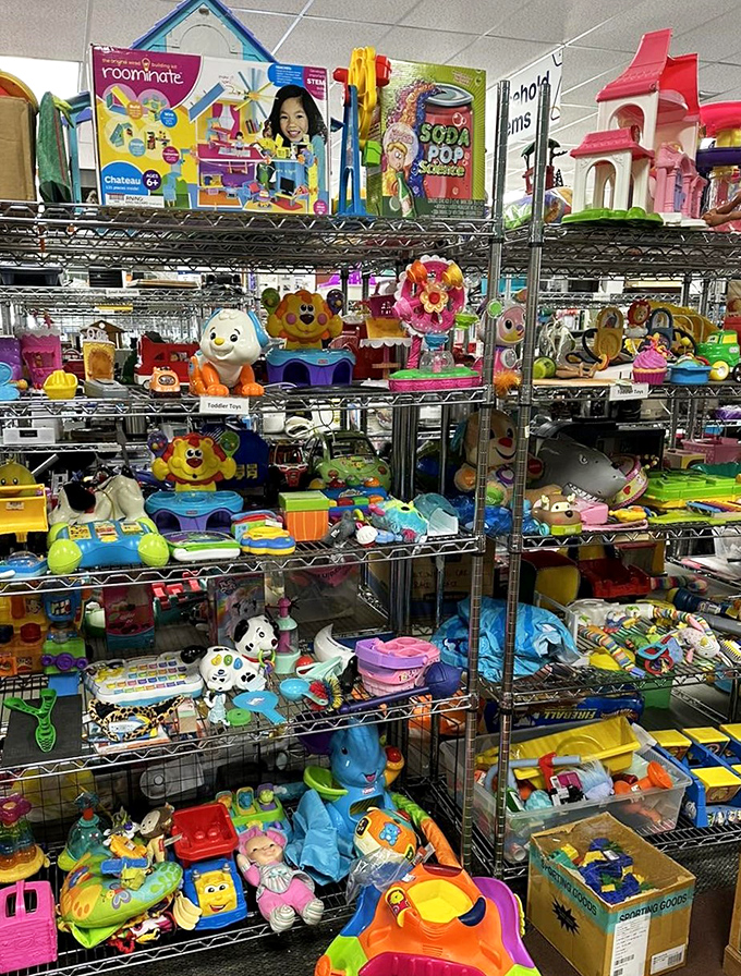 The toy section: where childhood dreams get a second chance and parents' wallets get a much-needed break from retail prices.