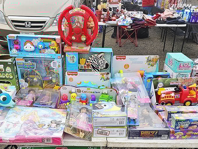 Toy paradise for the grandkids – where yesterday's Fisher-Price meets today's LOL Surprise dolls, and everyone leaves happier than when they arrived.