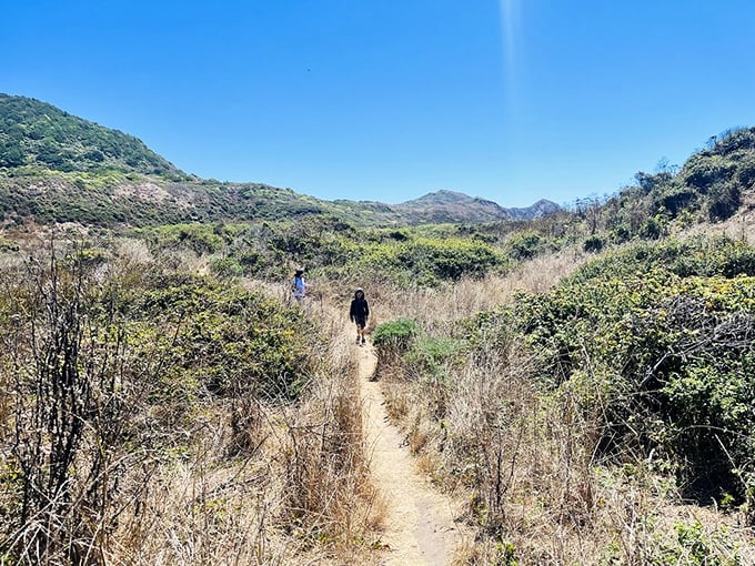 The path stretches ahead through golden California grasslands – each step bringing you closer to that waterfall you've seen on everyone's Instagram.