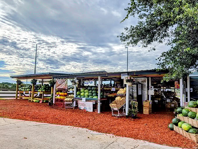 Uncle Frank's Produce: where tomatoes taste like your grandmother remembered and prices don't require a loan.