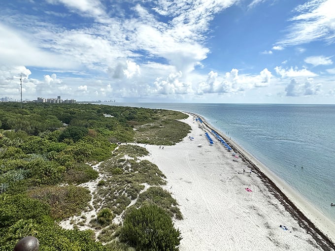From the lighthouse's lofty perch, Miami's beaches unfurl like a ribbon of white satin against the deep blue Atlantic—worth every step of the climb.