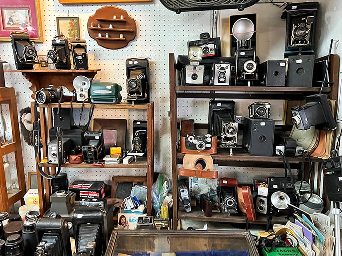 Before selfies, there were these mechanical marvels. This vintage camera collection captures the evolution of photography one beautiful box at a time.