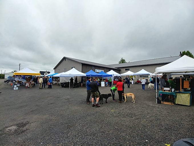 The local farmers' market showcases the bounty of Wallowa County's agricultural heritage. Farm-to-table isn't a trend here—it's just Tuesday.