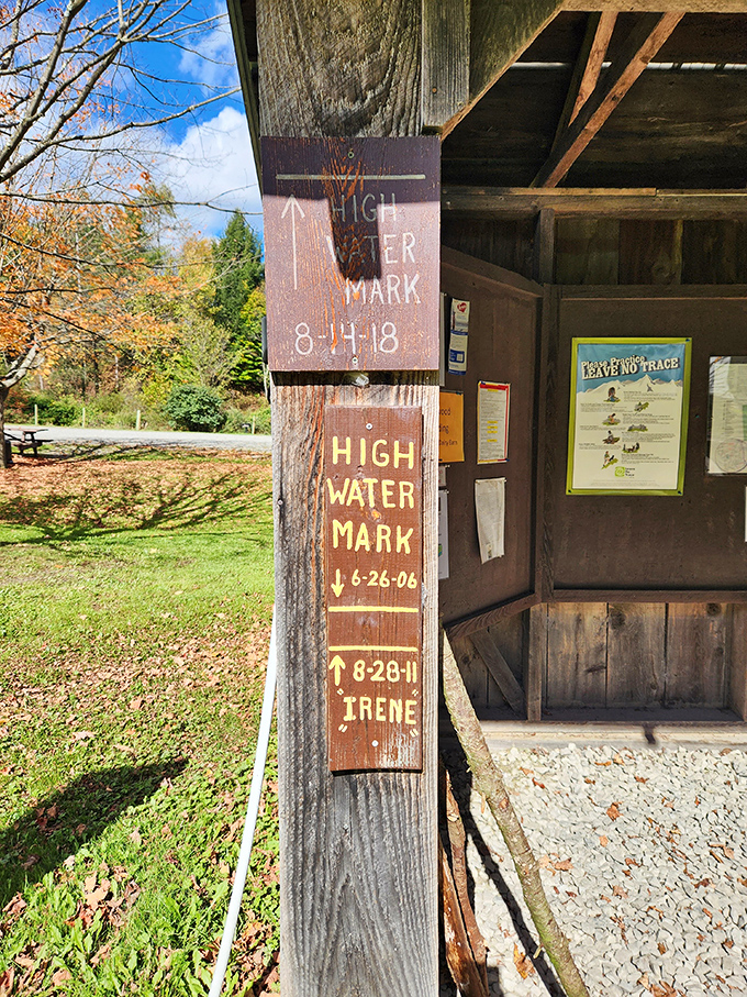 These high-water marks tell stories of floods past—nature's own history book written in wood and paint, Hurricane Irene signing her name with authority.