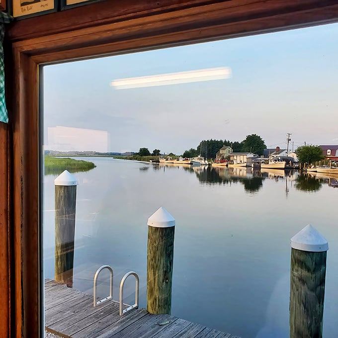 That view isn't just pretty scenery—it's the commute your dinner took before arriving on your plate.