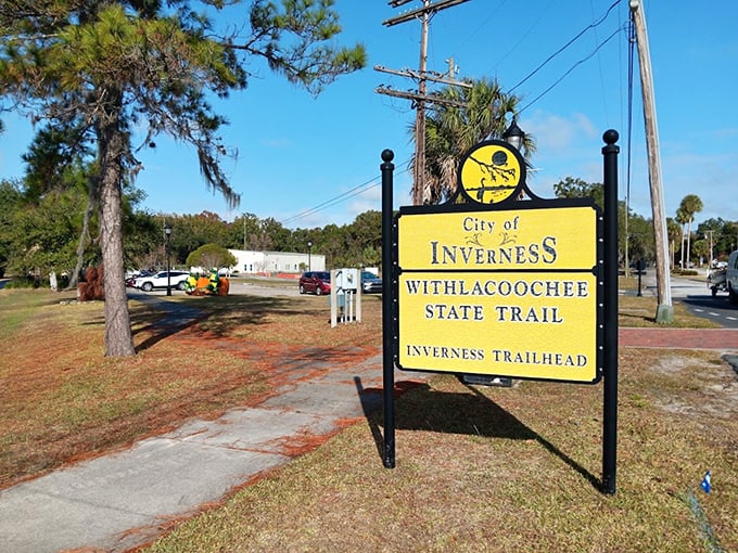 The Withlacoochee Trail sign marks the starting point for adventures that cost nothing but calories – Florida's version of the Appalachian Trail, minus the mountains.