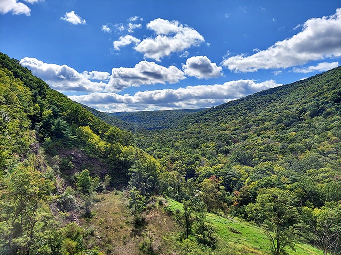 The lush valleys surrounding Lock Haven offer the kind of green therapy that makes retirement in Pennsylvania feel like you've discovered America's best-kept secret.