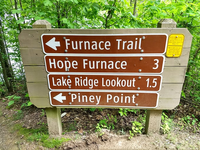 Choose your own adventure! These trail signs point to discoveries waiting just around the bend.