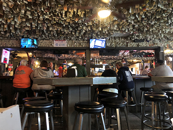 The bar at Shuckums—where locals and tourists unite under the common flag of fresh seafood and cold drinks. Those dollar bills overhead are watching your ordering decisions.