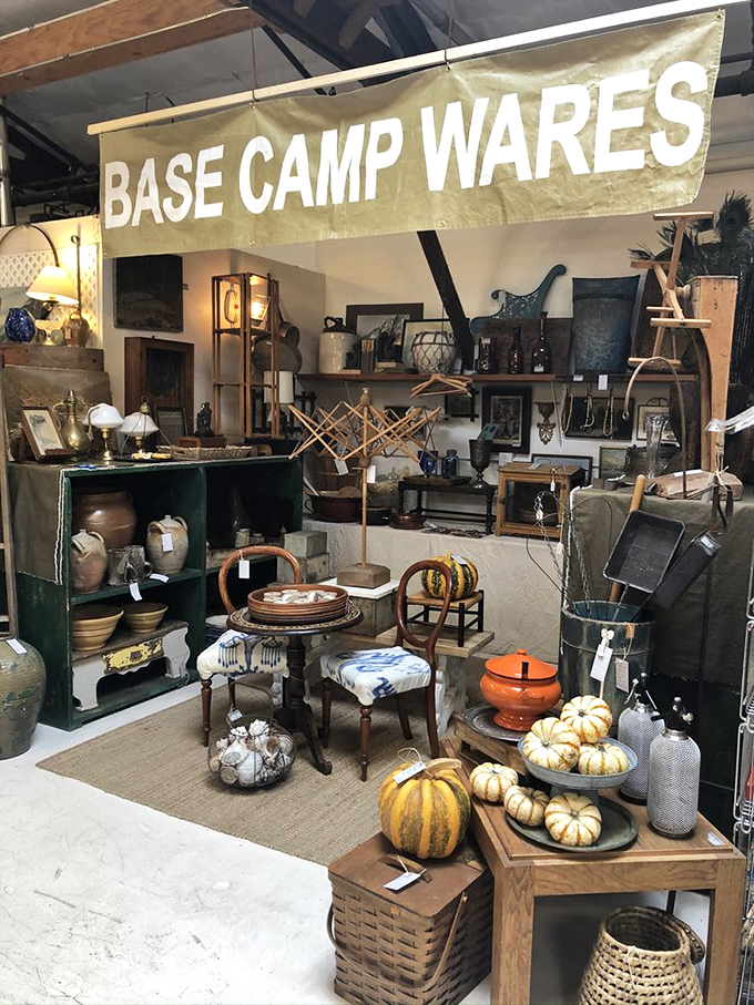 "Base Camp Wares" offers rustic treasures with farmhouse appeal. Those decorative pumpkins aren't just seasonal—they're conversation starters.