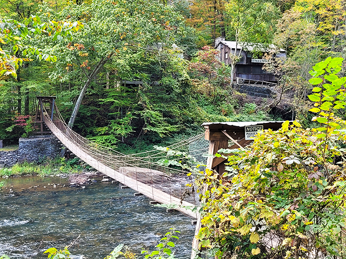 This suspension bridge isn't just crossing water – it's crossing from everyday life into pure adventure. Indiana Jones would approve.