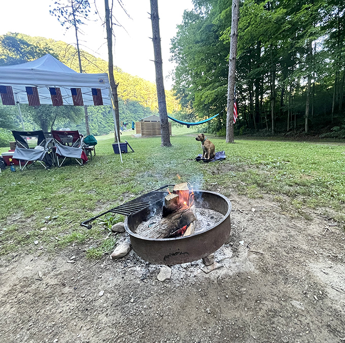 Primal television – a campfire that offers better entertainment than anything streaming on your devices back home.