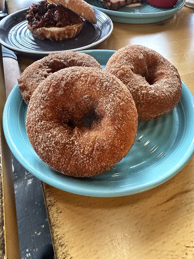 Cinnamon sugar donuts that transport you straight to childhood fairgrounds, minus the sketchy rides and questionable carnies.