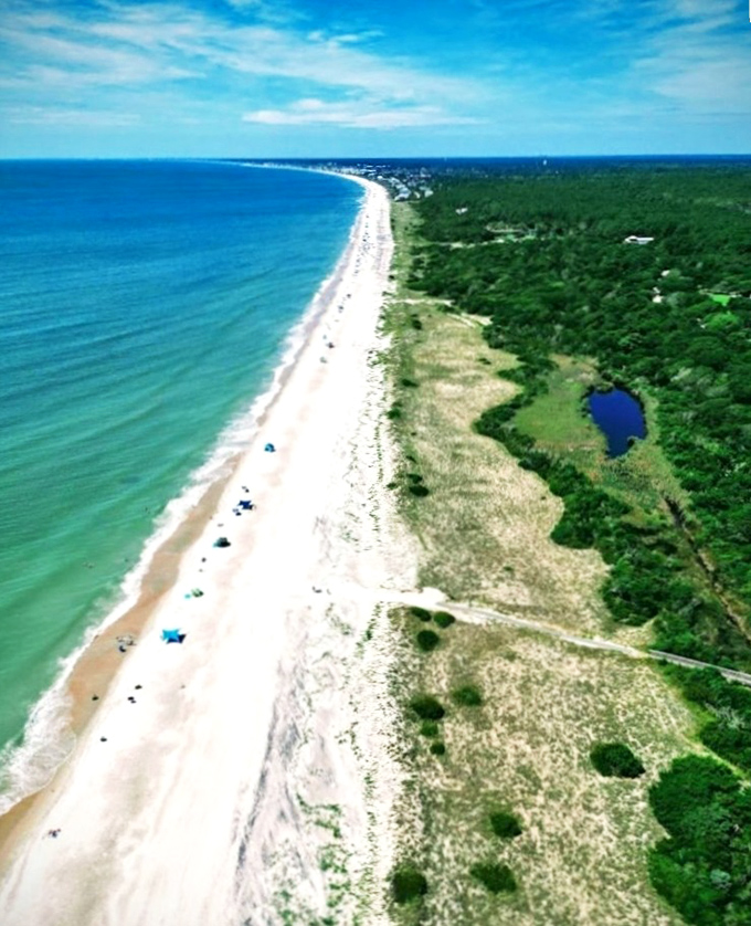 The perfect balance of wilderness and beach. From this height, you can almost hear the ocean whispering, "Come on in!"
