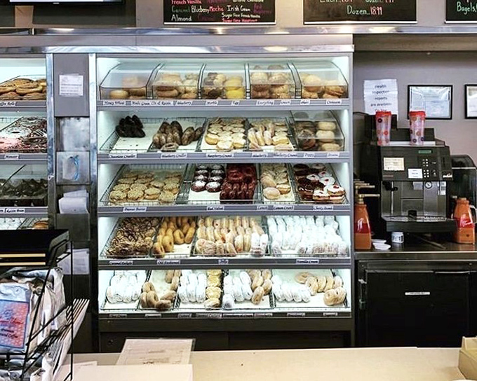 The counter area – where dreams and reality meet, and where the hardest decision you'll make all day is choosing between "one" or "one dozen."