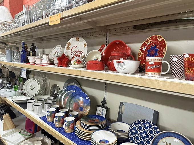 Colorful dinnerware collections bring personality to everyday meals and special occasion dining experiences alike. 