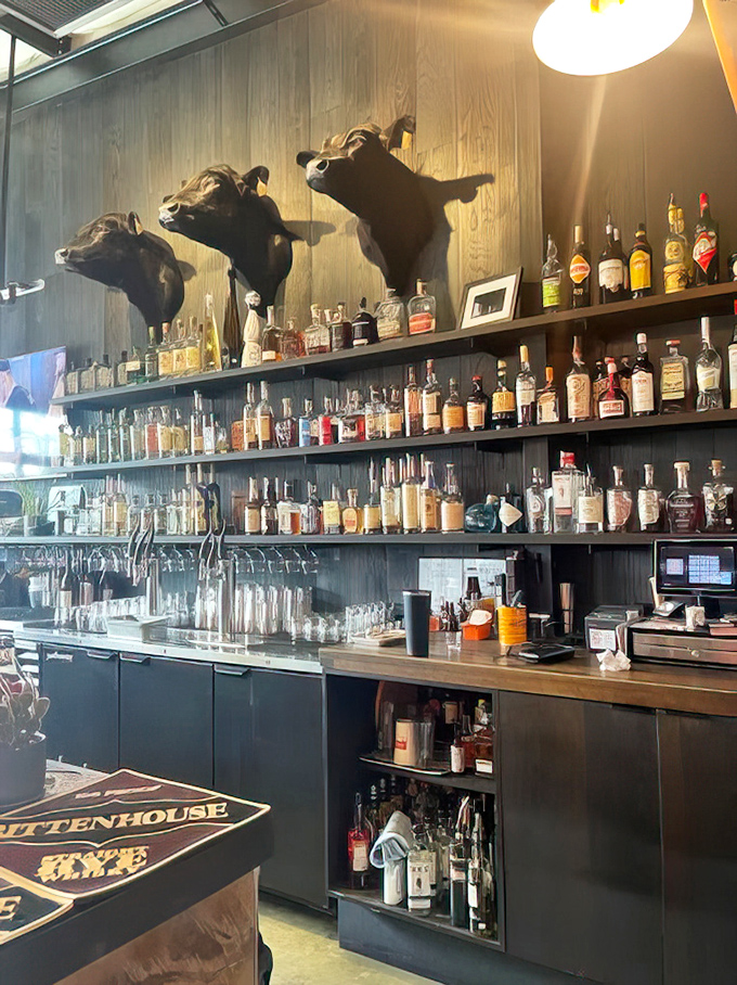 A bourbon collection that would make Kentucky blush. Those bottles aren't just decoration—they're supporting actors in your meal's performance.