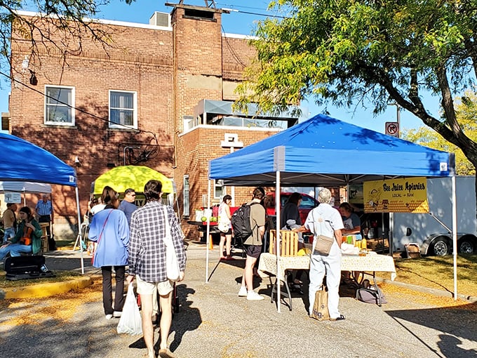 Farmers markets transform parking lots into social hubs where heirloom tomatoes and philosophical discussions are equally prized.