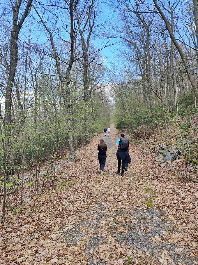 The simple joy of walking forest trails with friends. No expensive equipment required—just comfortable shoes and good conversation partners.