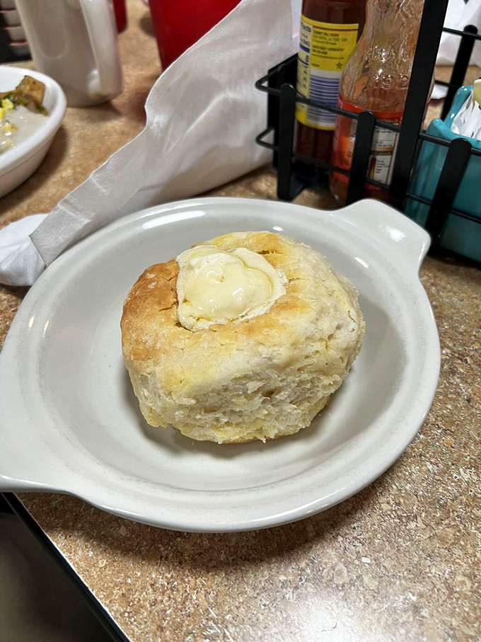 A biscuit that doesn't need your approval but certainly deserves your respect. That melting butter puddle is breakfast's version of a mic drop.