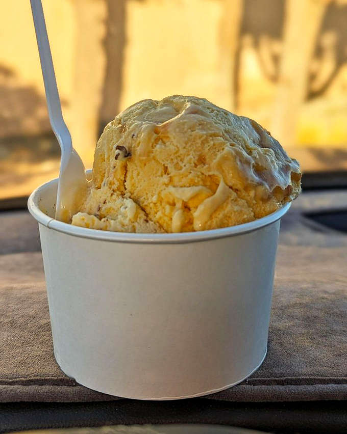 Ice cream served in a simple cup that reminds us sometimes the best desserts don't need fancy presentation—just pure, creamy perfection.