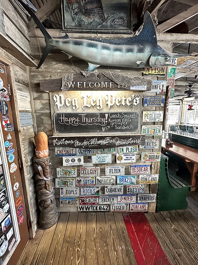 License plates from across America tell the story—people will drive ridiculous distances just to eat here. The marlin overhead silently agrees.