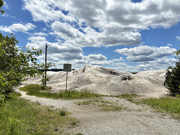 The old limestone quarry reveals layers of geological history, each striation telling stories millions of years old.